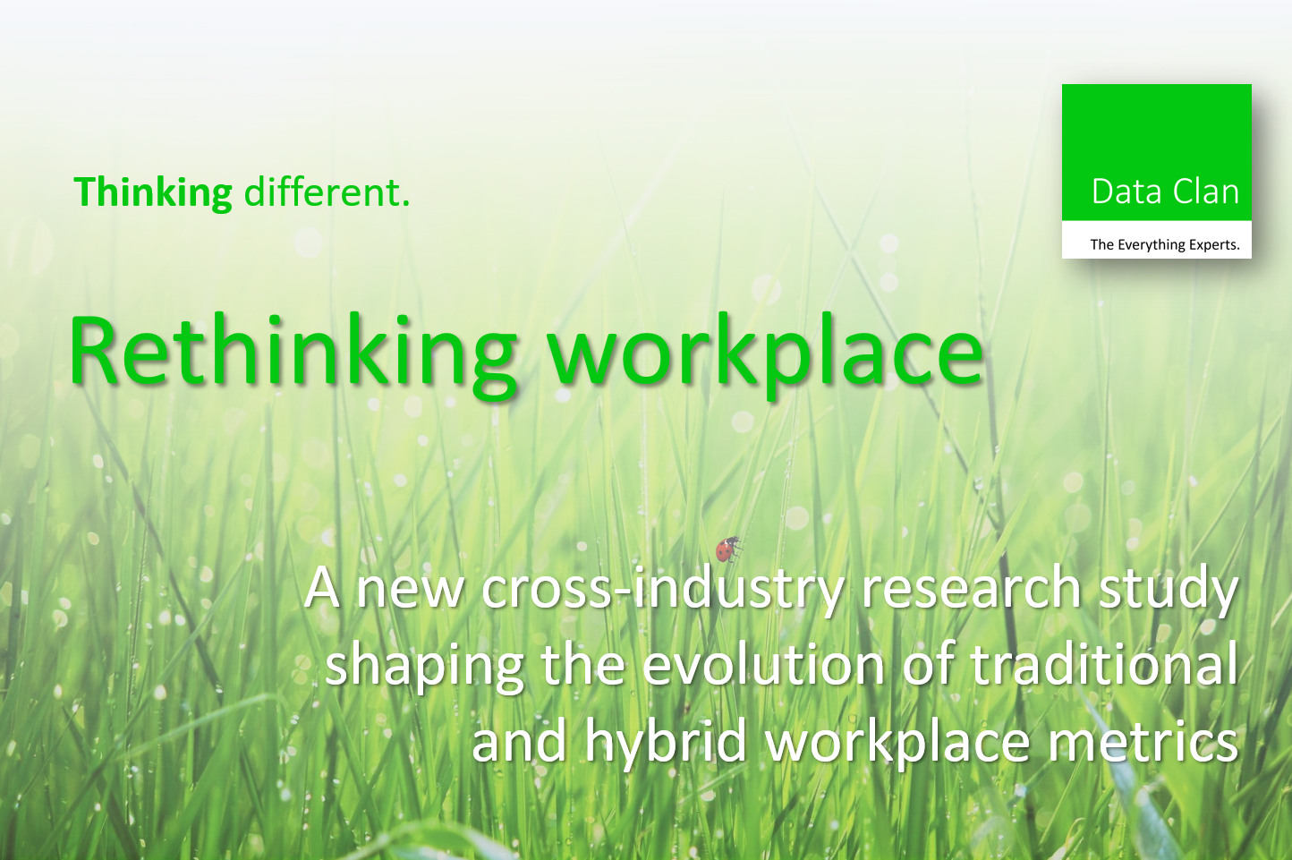 Rethinking workplace - Data Clan.